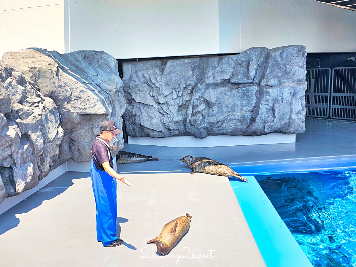 【神戶須磨海洋世界 Kobe Suma Seaworld】西日本唯一虎鯨表演水族館重新開幕 @兔兒毛毛姊妹花